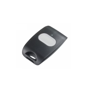 DSC PG9938 PowerG Wireless Panic Key Transmitter, Key Fob – Oudella